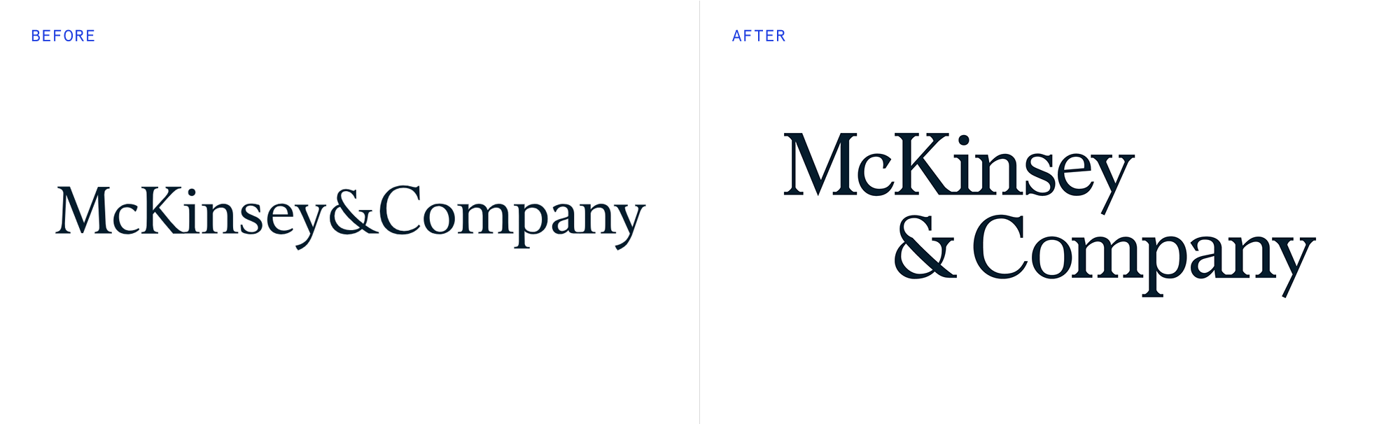Mckinsey logo store